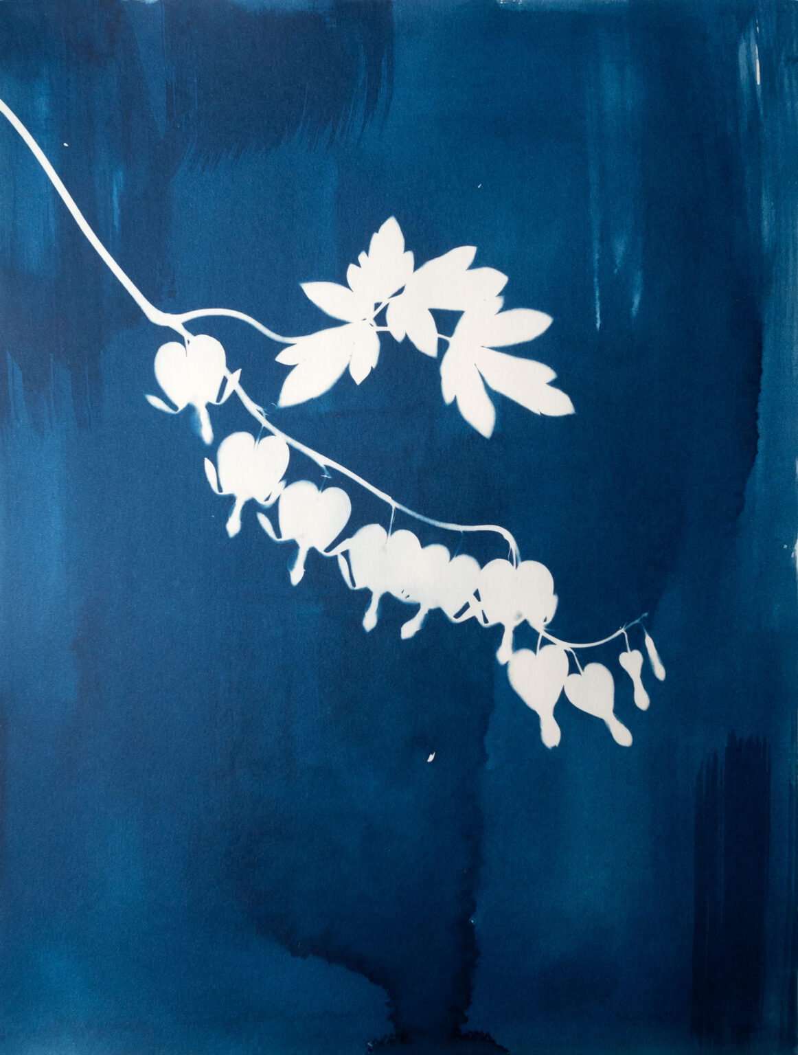 Handy House Artist-in-residence: Discover the lost art of cyanotypes ...