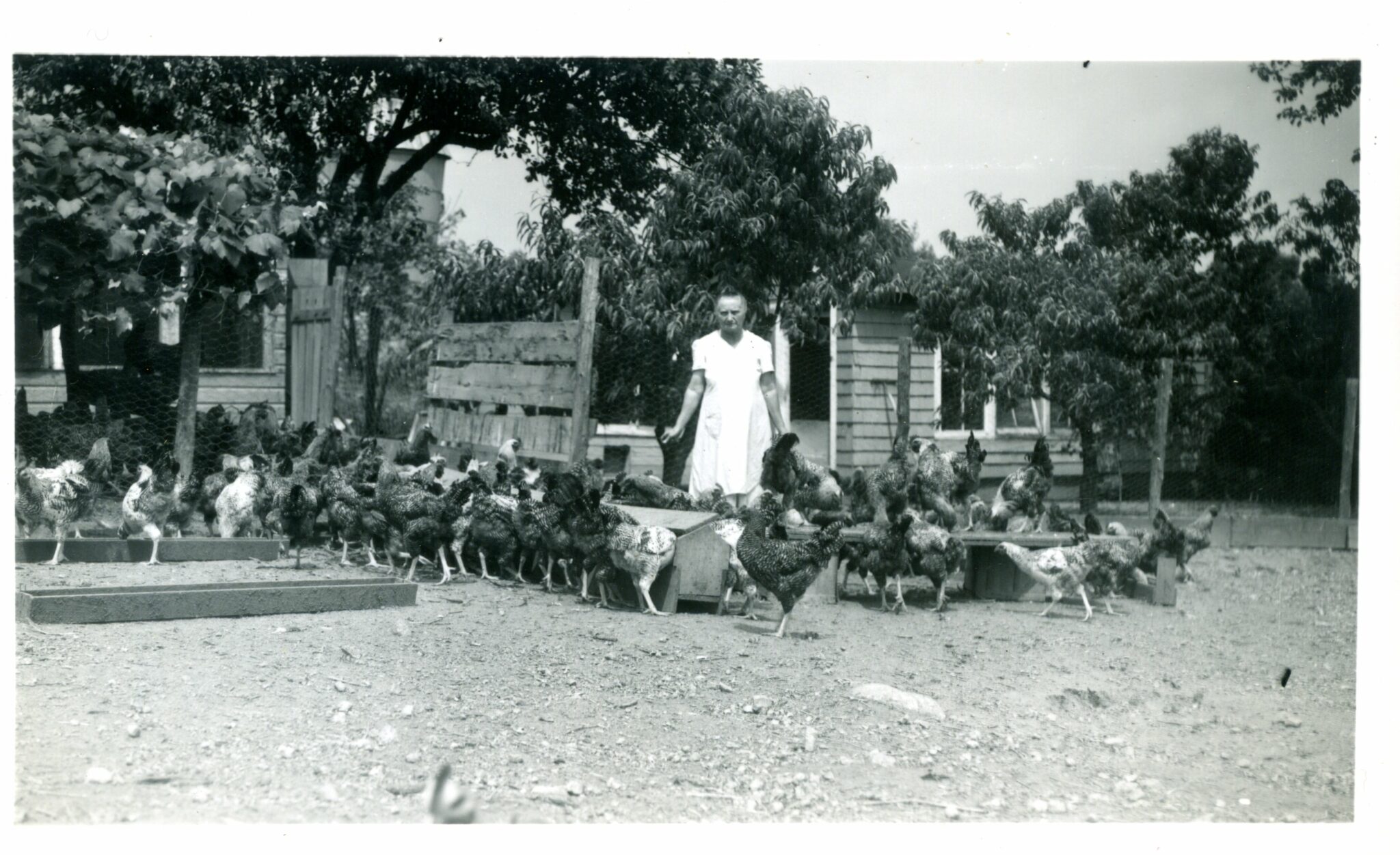 Women on the Farm - Westport Historical Society