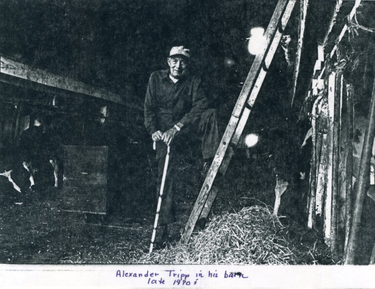 Alexander Frank Tripp, memoir of a Westport Farmer - Westport ...